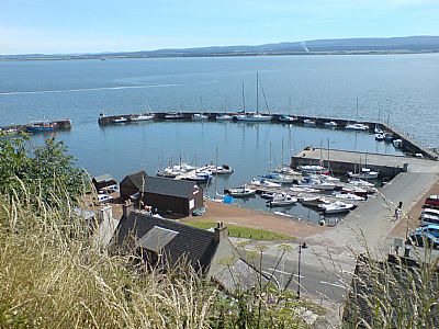 Avoch Dolphin Trips | Black-Isle Info